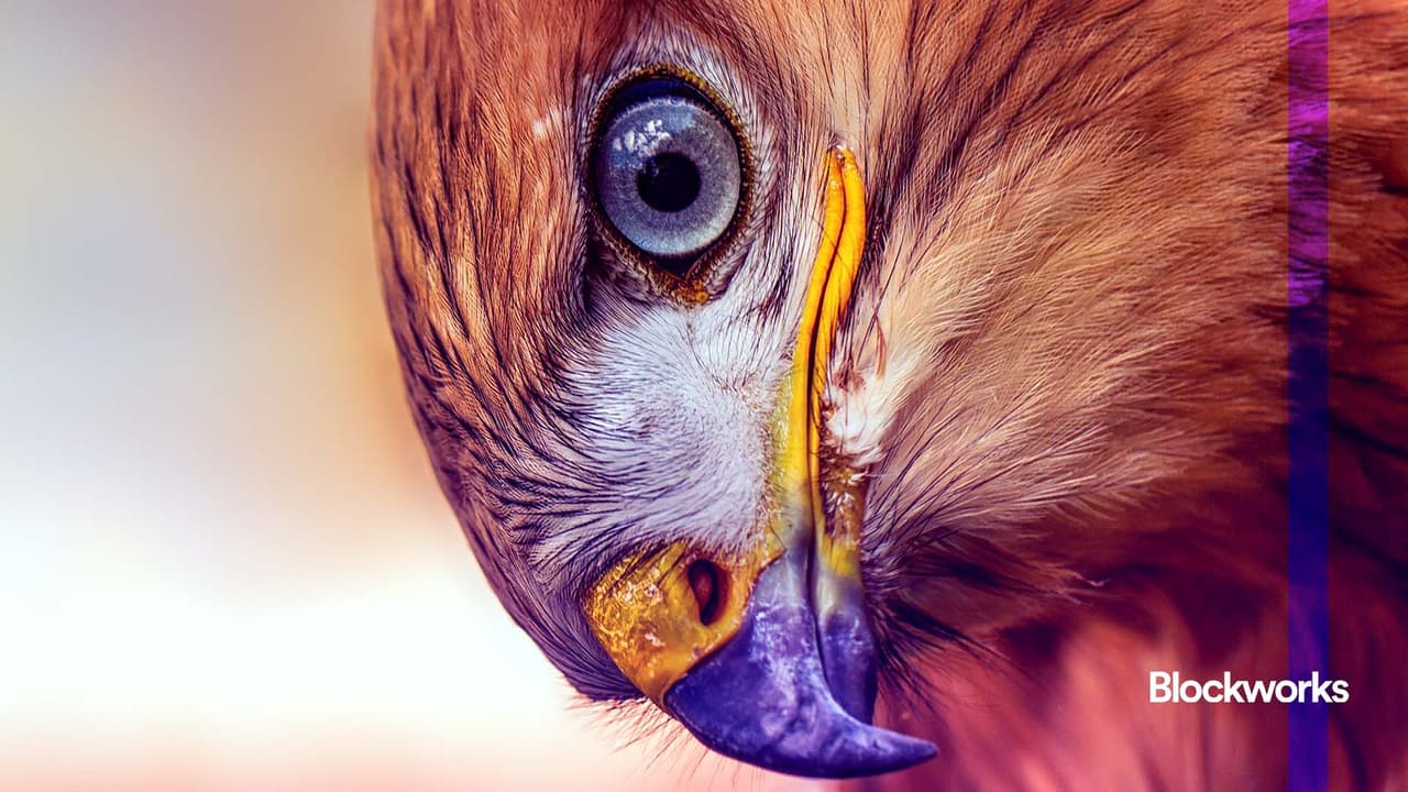 App season continues: Birdeye debuts on mobile - Blockworks