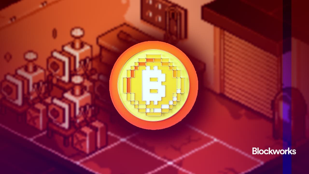 Bigcoin mining game faces Ponzi allegations amid token price swings - Blockworks